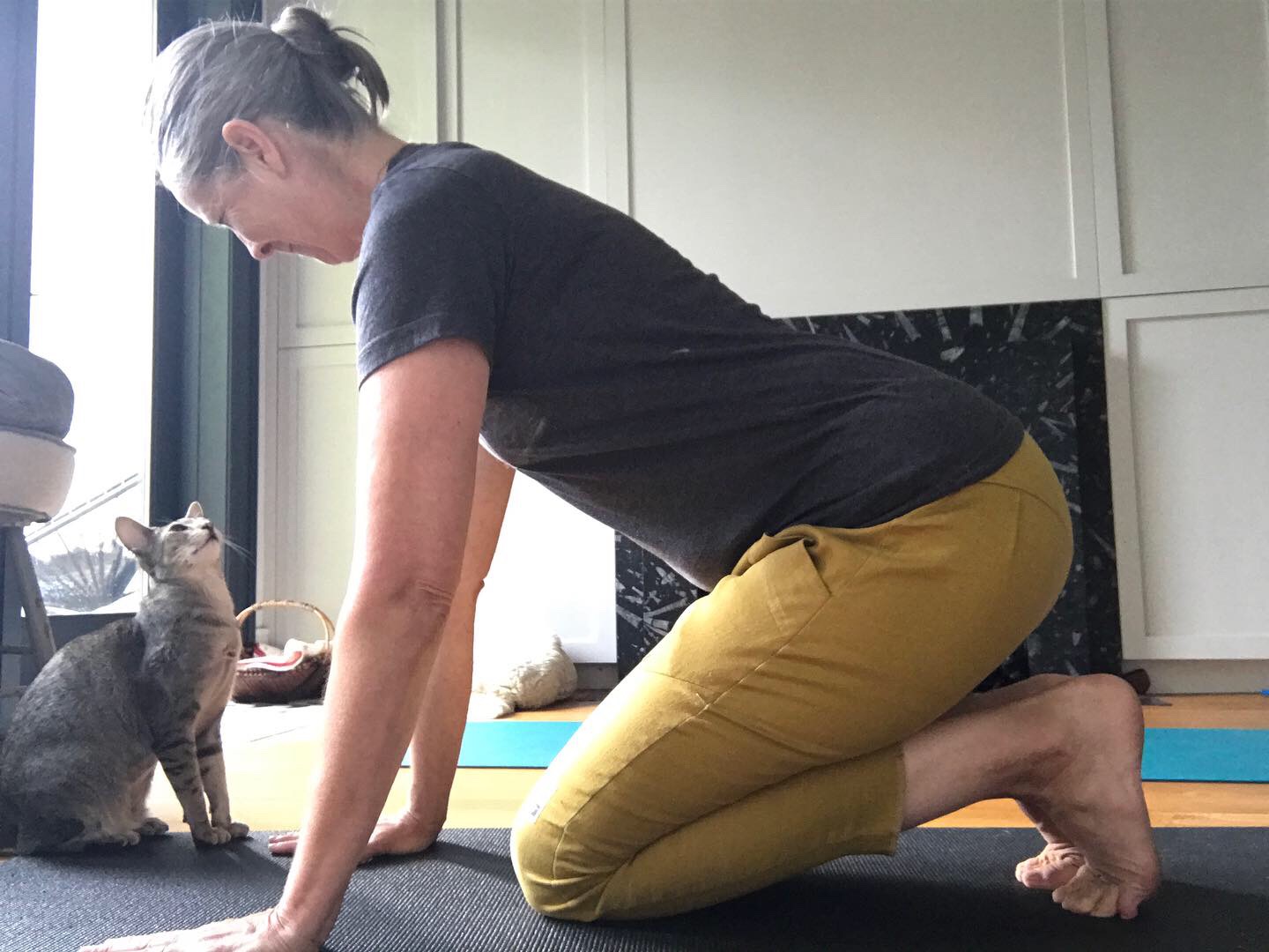 Position, Posture and Alignment – by Carol Robbins – Pilates Intel ...